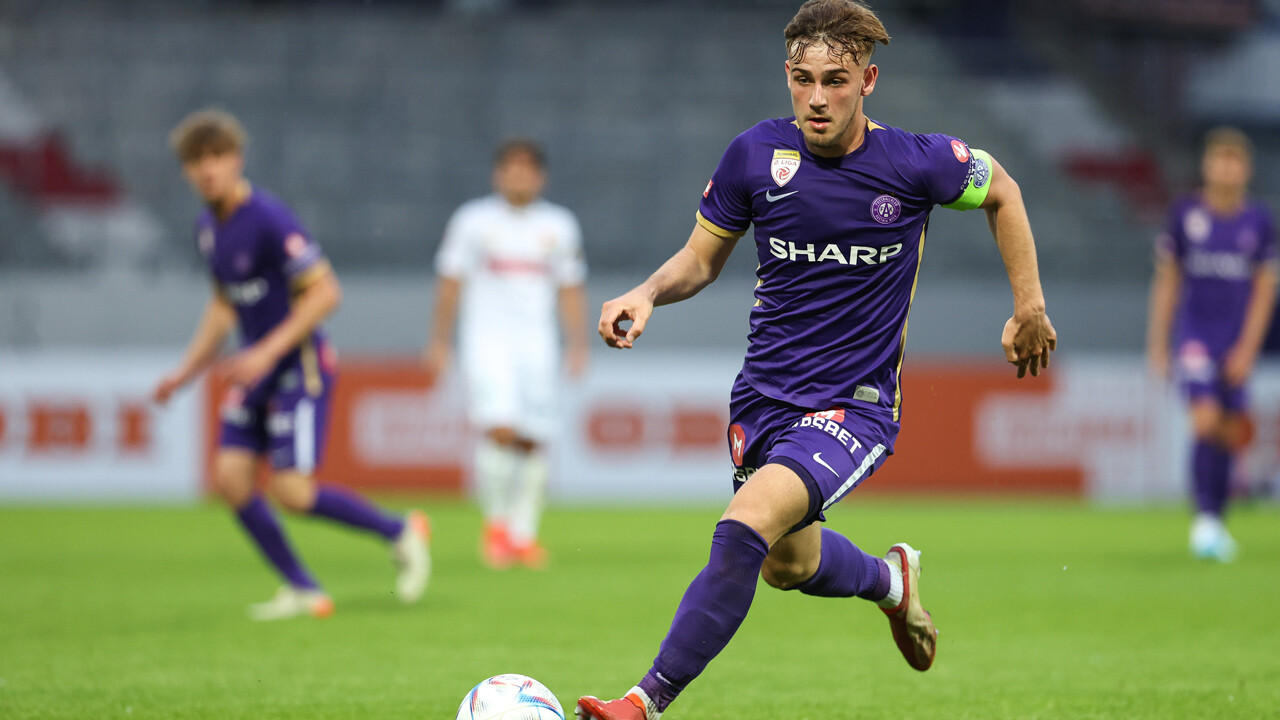 SKU Amstetten verpflichtet den Kapitän der Young Violets