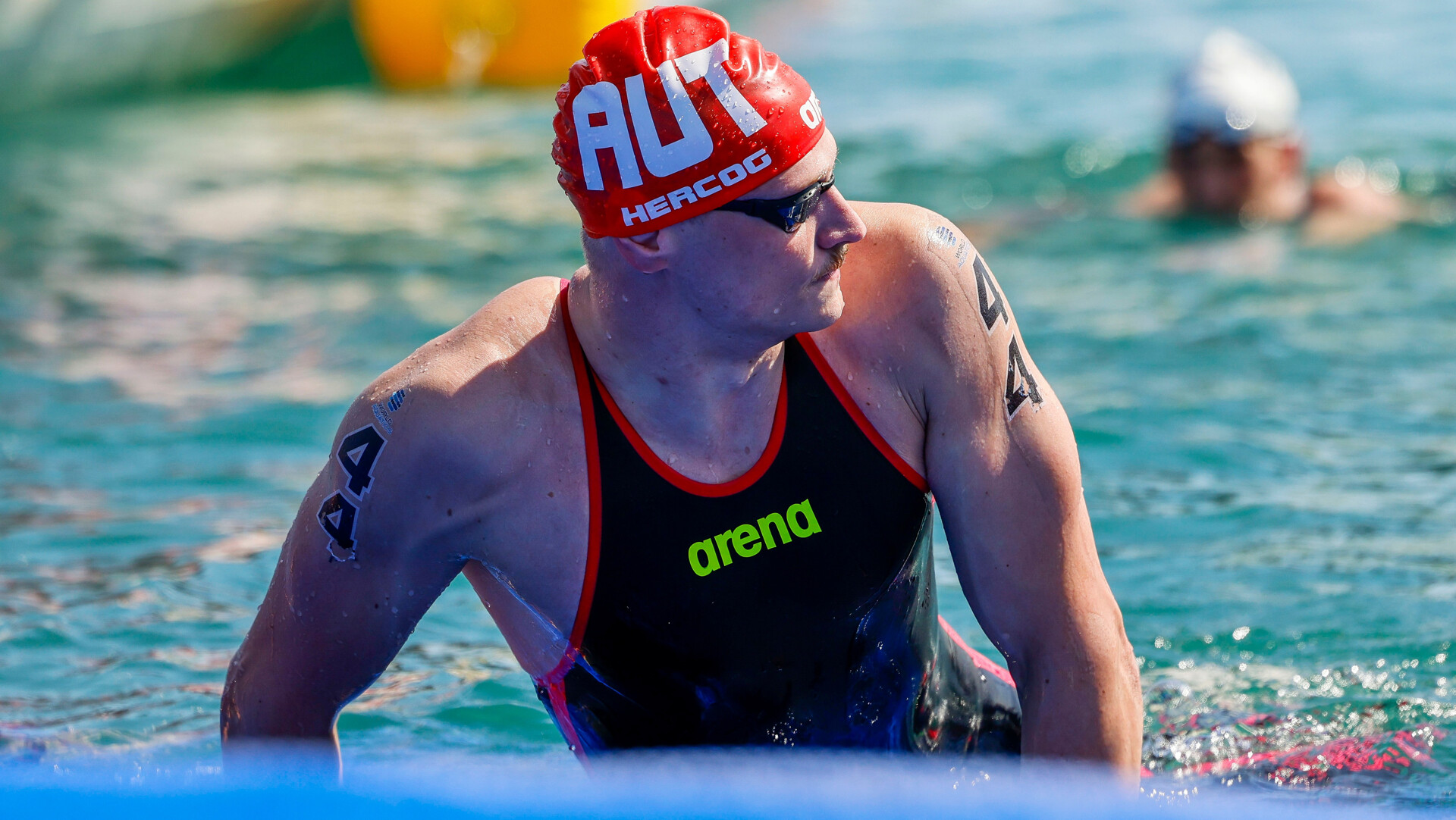 Freiwasser-Schwimmer Hercog gelingt wohl Olympia-Qualifikation