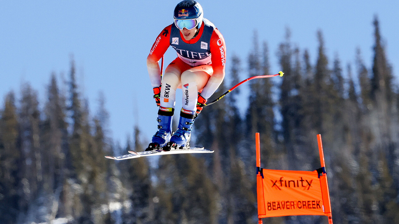 "Kuschel-Teppich!" Raubvogelpiste zeigt sich so zahm wie noch nie